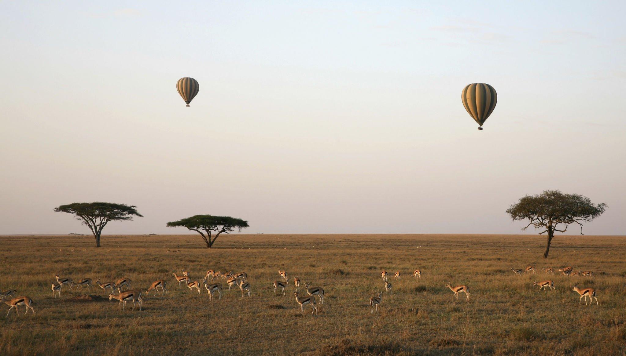 About Us - Hartklop Africa